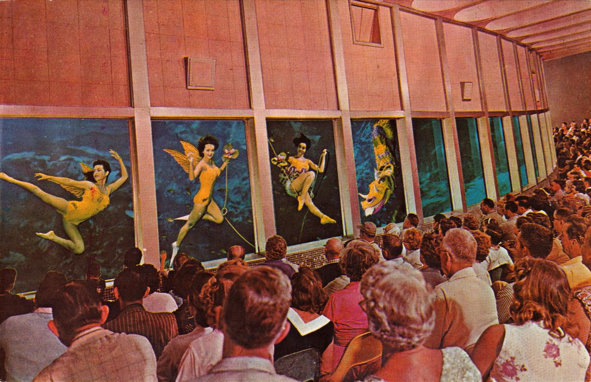 Life as a Professional Mermaid